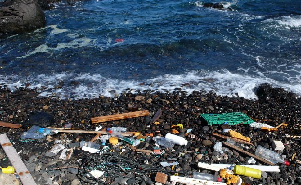 POLLUTION des PLAGES : Causes et conséquences