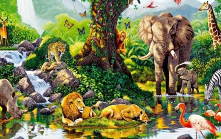 Système écologique : Définition et exemples