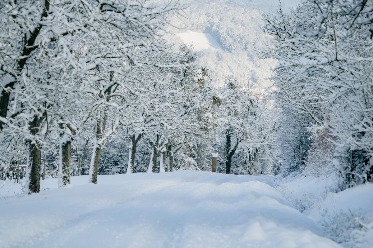 Pourquoi la neige est blanche