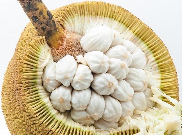 Liste de 30 FRUITS EXOTIQUES TROPICAUX - Avec PHOTOS