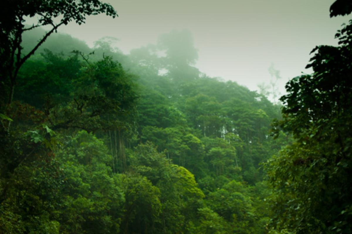 11 CLIMATS en ÉQUATEUR - Carte et résumé