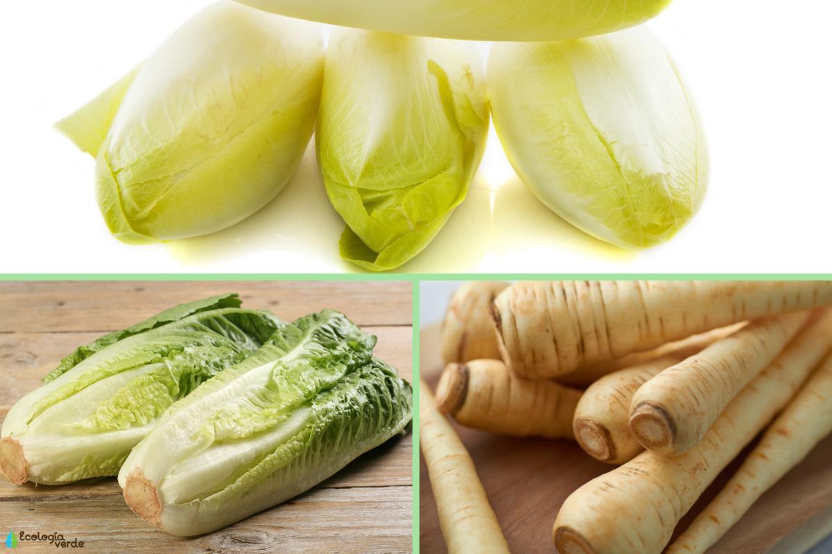 FRUITS et LÉGUMES de SAISON - FRUITS D'HIVER