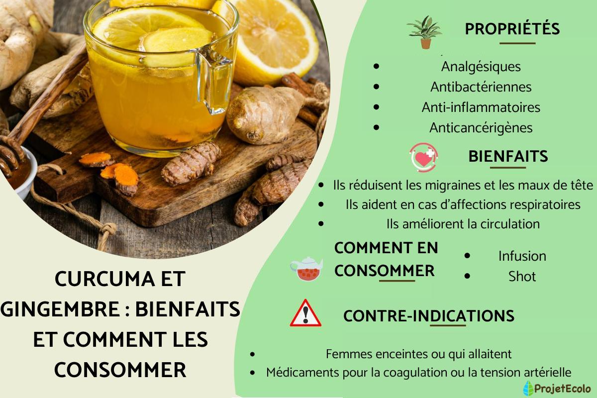 Curcuma et gingembre : bienfaits et comment les consommer - GUIDE COMPLET