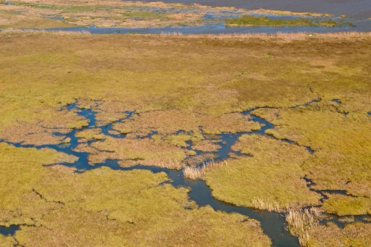 Delta d'un fleuve : définition, formation et types