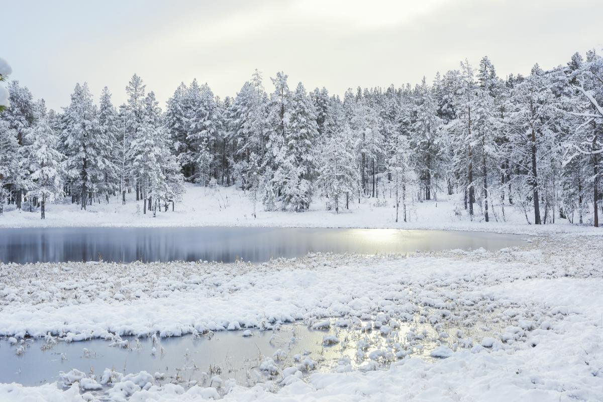 Neige : définition, formation et types