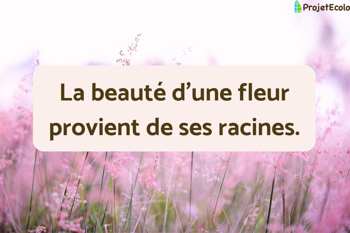 110 courtes CITATIONS de FLEURS et D'AMOURS