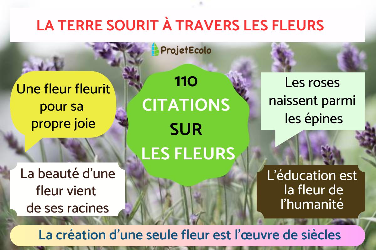 110 courtes CITATIONS de FLEURS et D'AMOURS