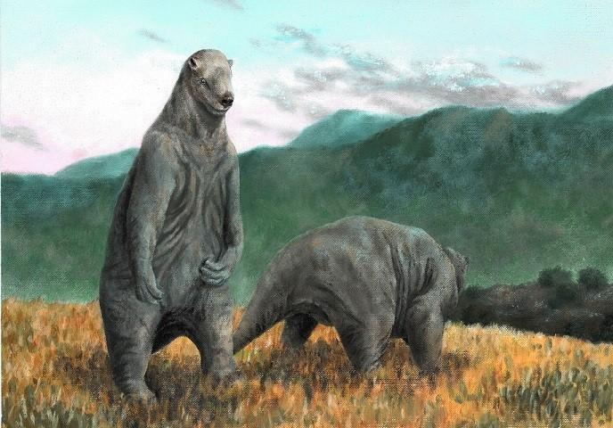 Mégafaune - Définition, exemples et photos