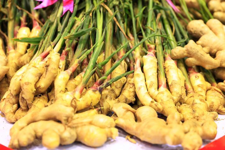 Les différents TYPES de RACINES - Noms, Caractéristiques et Photos