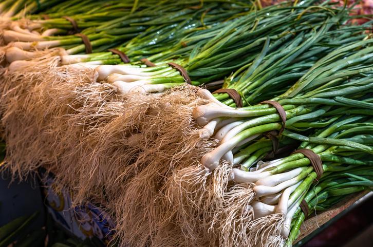 Les différents TYPES de RACINES - Noms, Caractéristiques et Photos