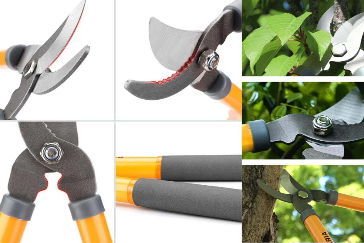 MEILLEURS SÉCATEURS de JARDIN - SÉCATEUR PROFESSIONNEL