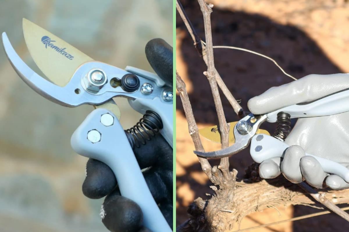 MEILLEURS SÉCATEURS de JARDIN - SÉCATEUR PROFESSIONNEL