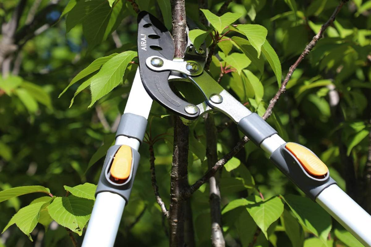 MEILLEURS SÉCATEURS de JARDIN - SÉCATEUR PROFESSIONNEL