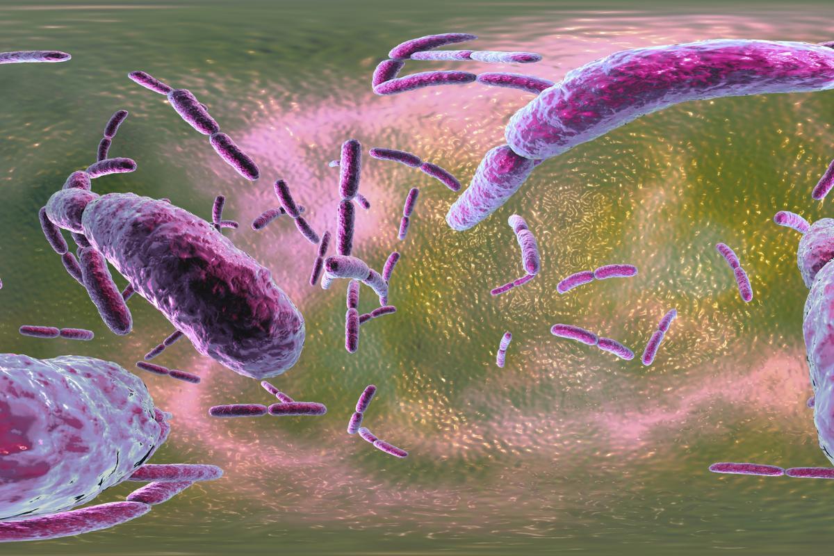 Microbiome : Définition, rôle et exemples