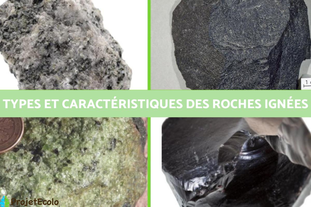 Roches ignées : définition, types, caractéristiques et exemples