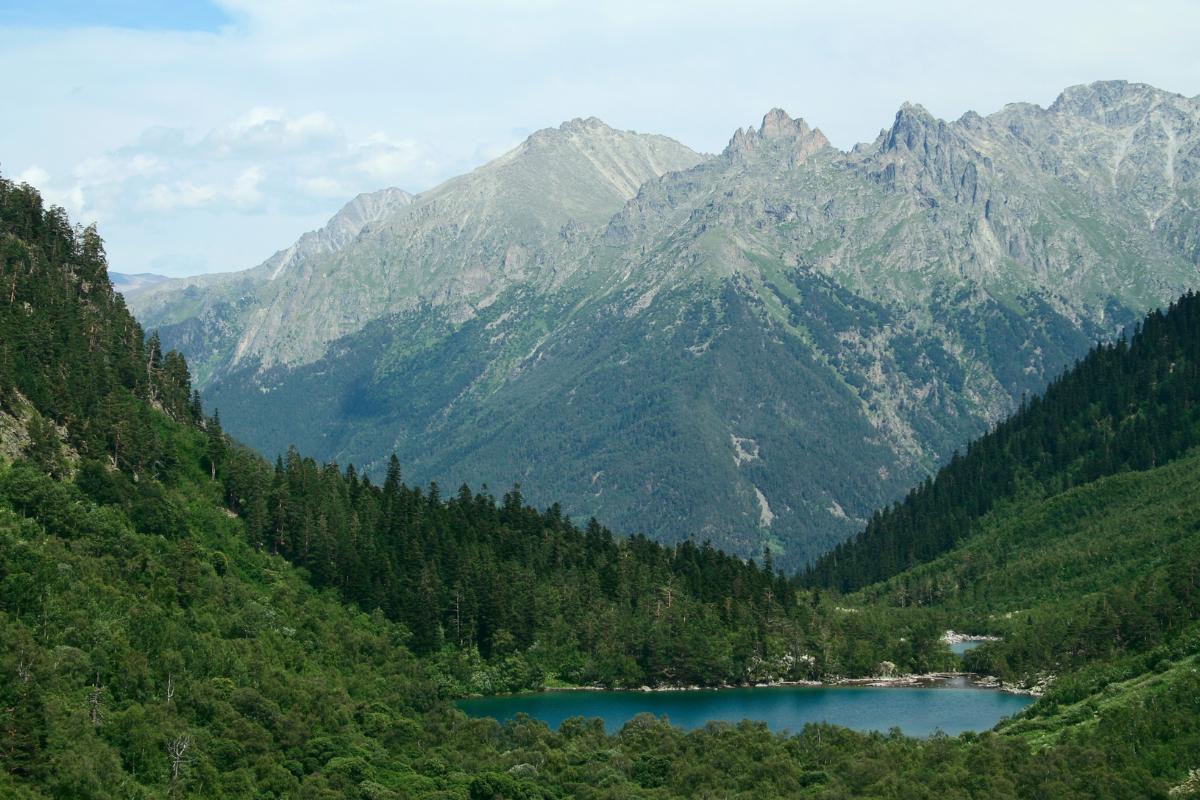 Microclimat : définition, formation et exemples