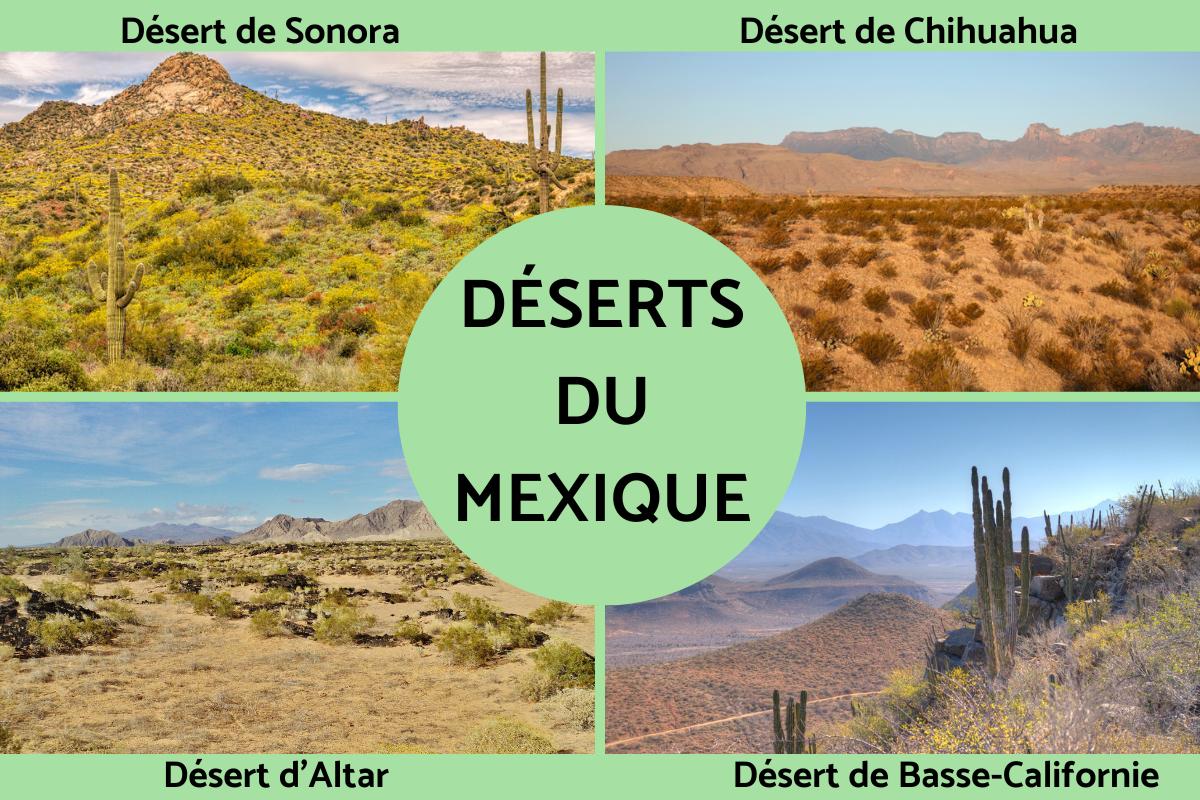 4 Déserts du Mexique - Noms avec PHOTOS