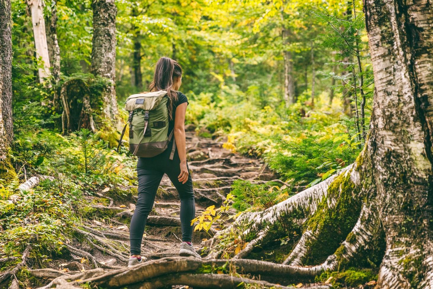 BAIN de FORÊT ou SHINRIN-YOKU - BIENFAITS et DÉFINITION