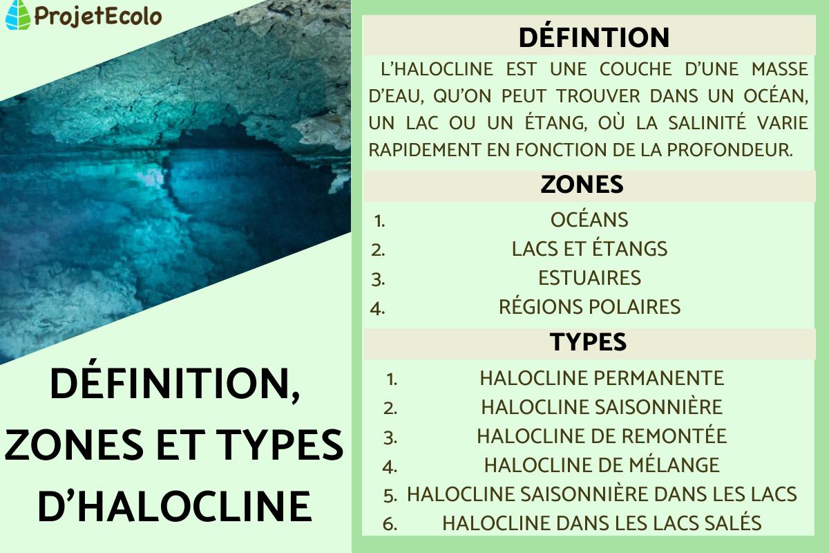 Halocline : définition, zone et types