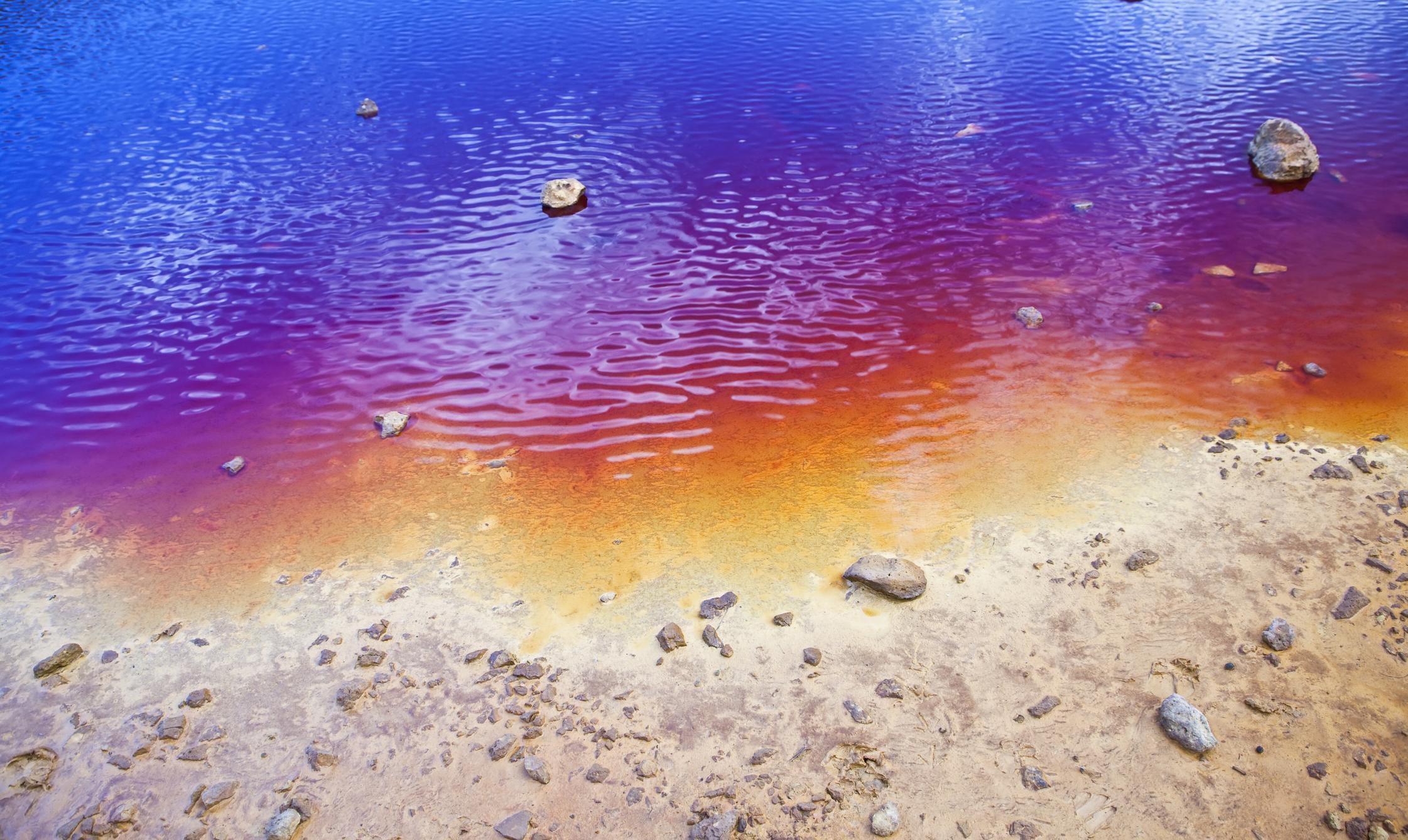 MARÉE ROUGE : Définition et Résumé - Découvrez ce phénomène