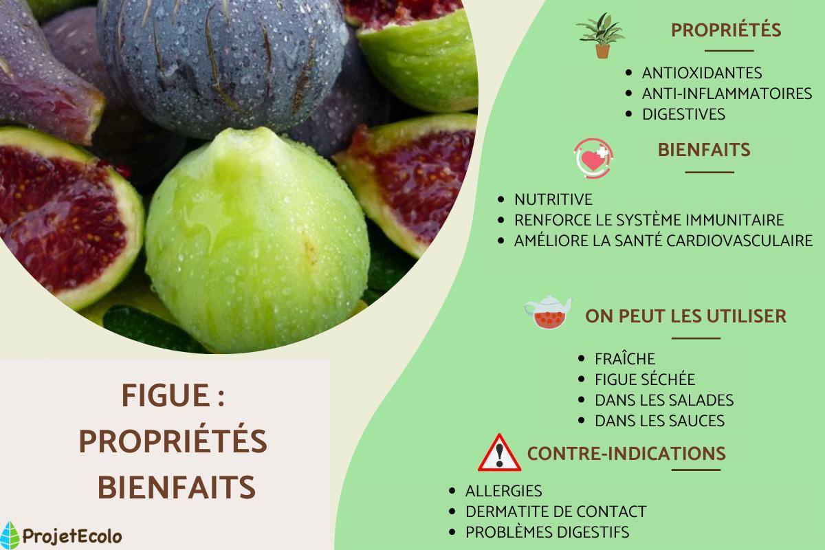FIGUE : PROPRIÉTÉS, BIENFAITS et CONTRE-INDICATIONS