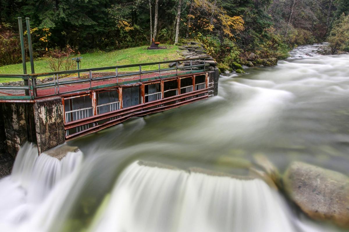Hydrologie : Définition, branches, histoire et fonction