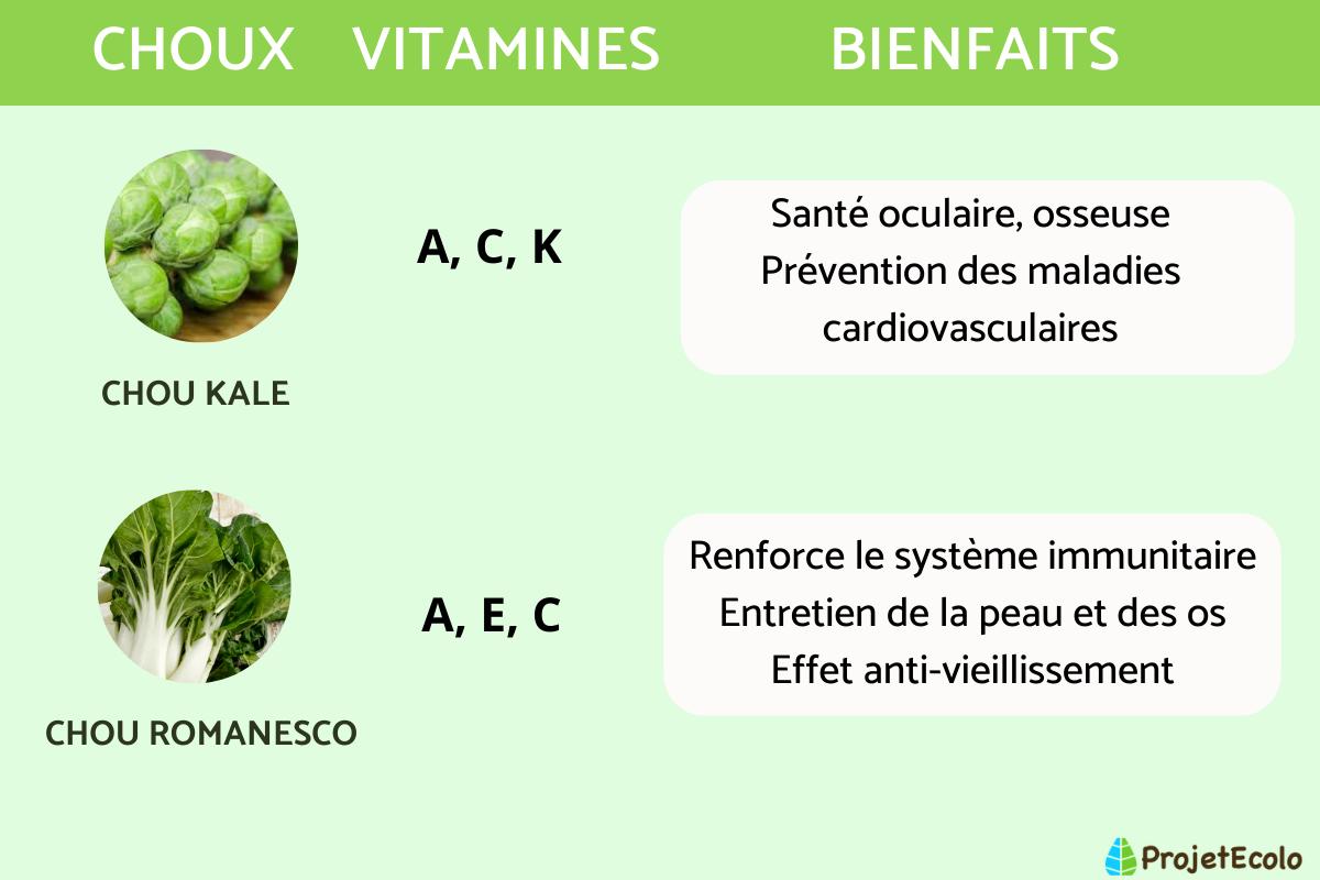 8 BIENFAITS du CHOU - Propriétés et contre-indications