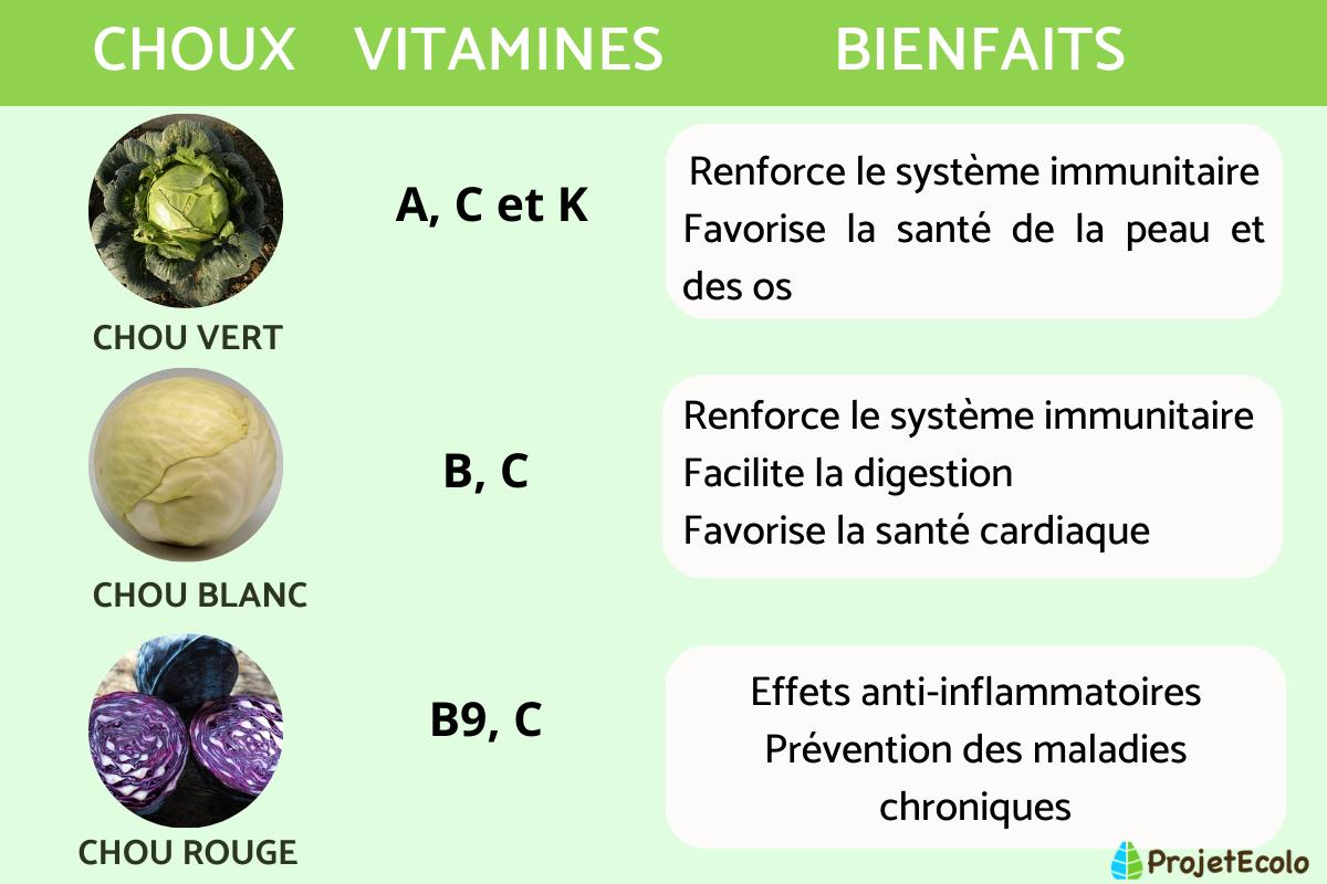 8 BIENFAITS du CHOU - Propriétés et contre-indications
