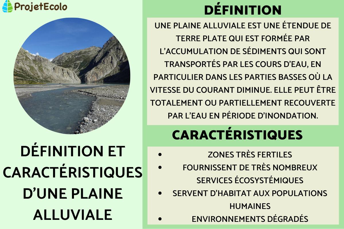 Plaine alluviale : définition, caractéristiques, flore et faune