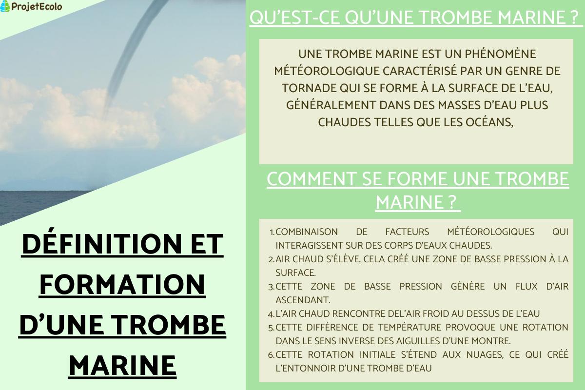 Trombe marine : Définition et formation