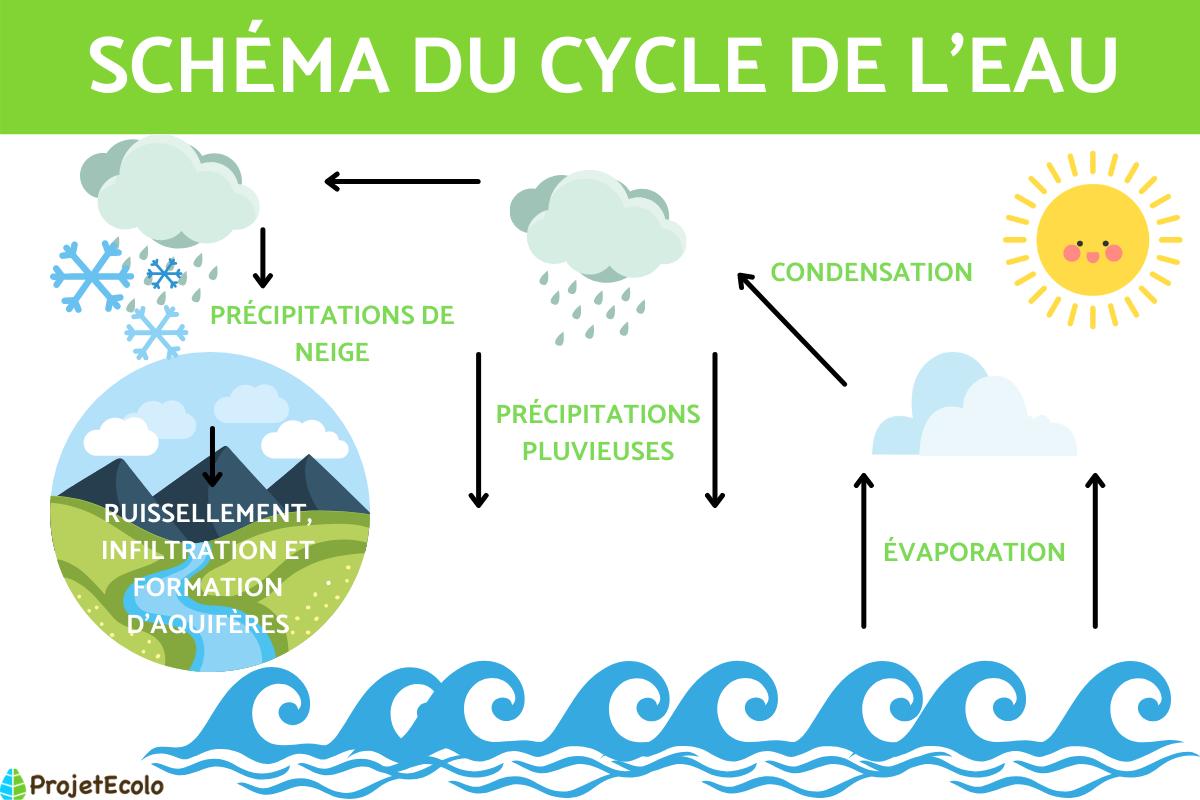 Cycle De L eau Et Transpiration Pour Les Enfants