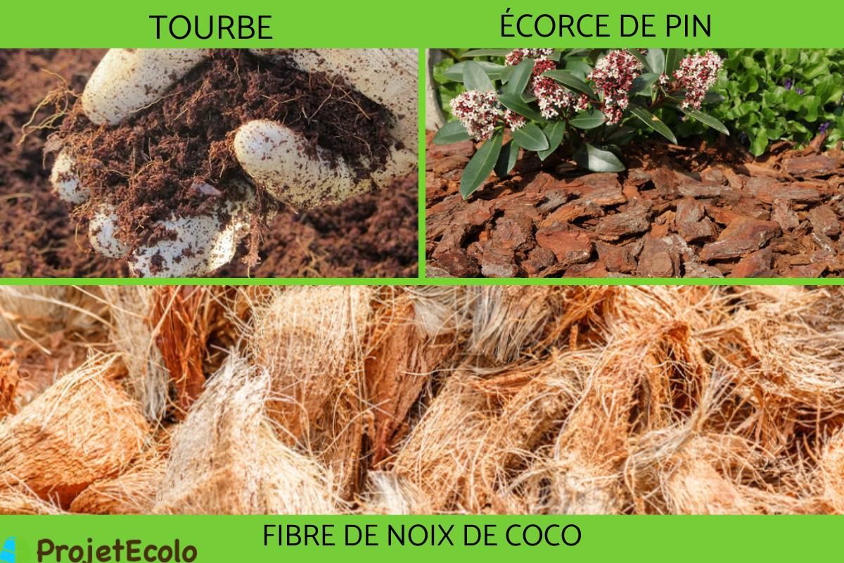 12 TYPES d'ENGRAIS - NOMS, PHOTOS, classification et caractéristiques