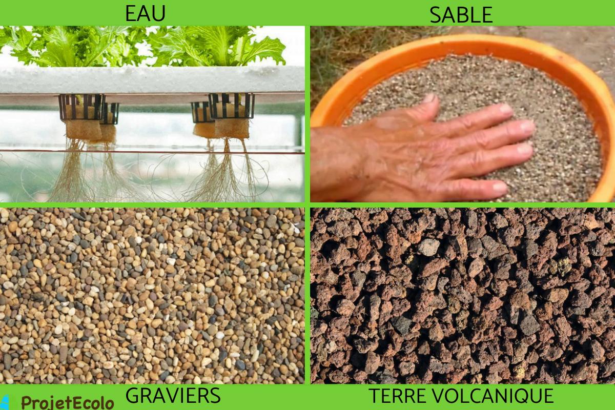 12 TYPES d'ENGRAIS - NOMS, PHOTOS, classification et caractéristiques