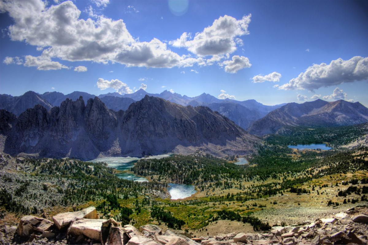 Types D'ÉCOSYSTÈMES TERRESTRES et exemples