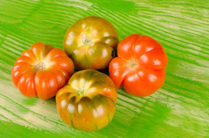 +30 VARIÉTÉS de TOMATES - Noms, caractéristiques et photos