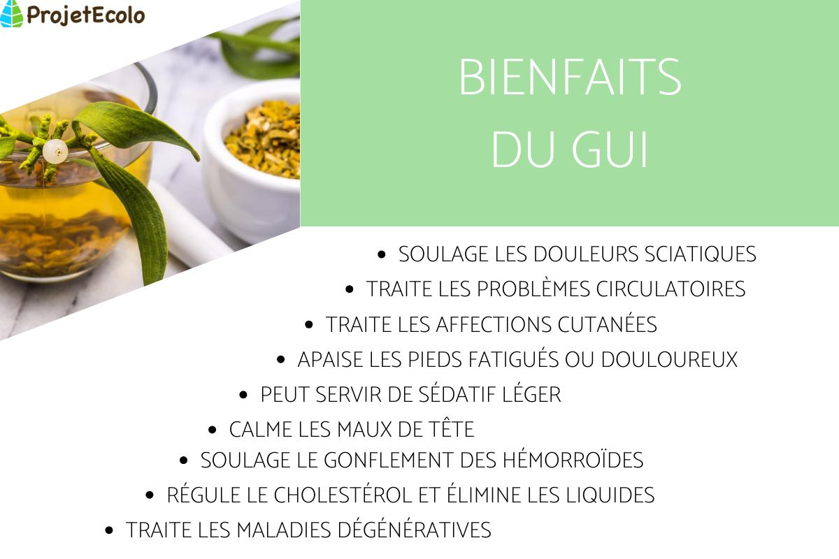 GUI : CARACTÉRISTIQUES, PROPRIÉTÉS et BIENFAITS