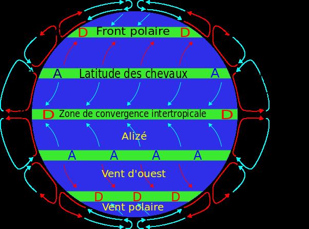 Alizés - Définition, signification et formation