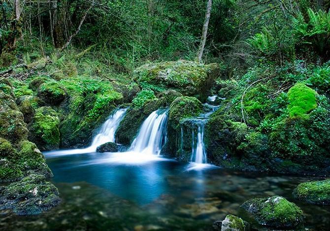 Lotique : définition et exemple