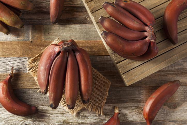 10 Variétés de bananes - Noms, caractéristiques et photos