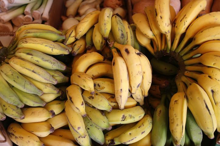 10 Variétés de bananes - Noms, caractéristiques et photos