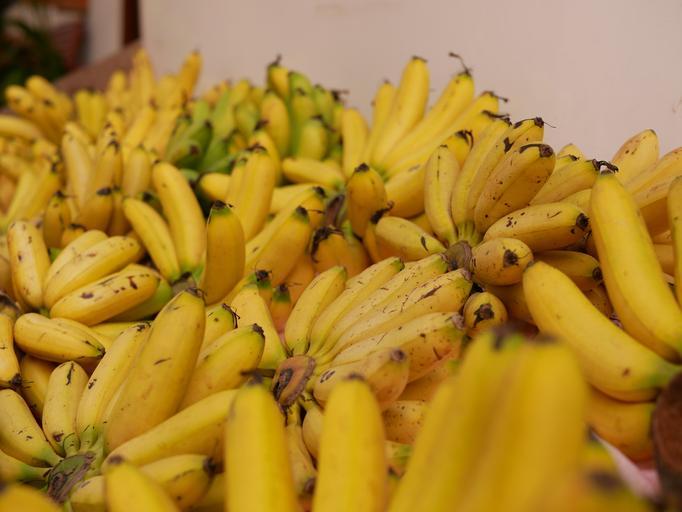 10 Variétés de bananes - Noms, caractéristiques et photos