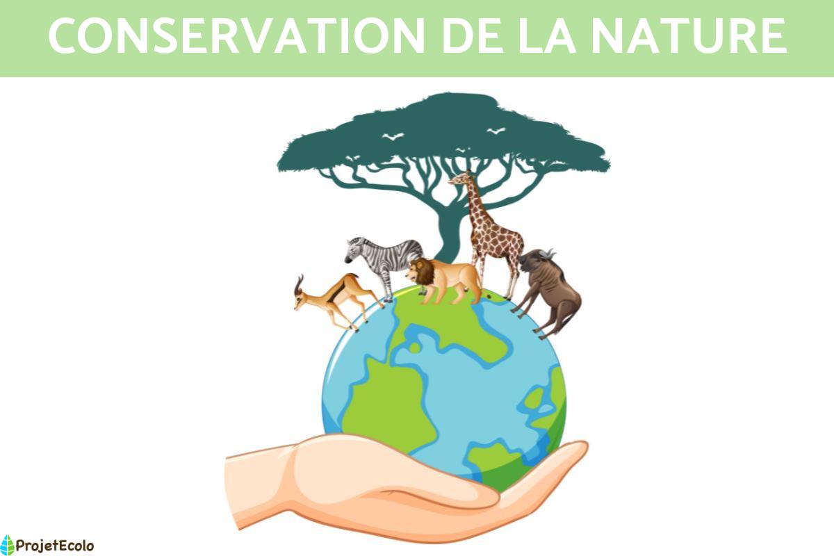 Conservation de la faune : Définition, importance et formation