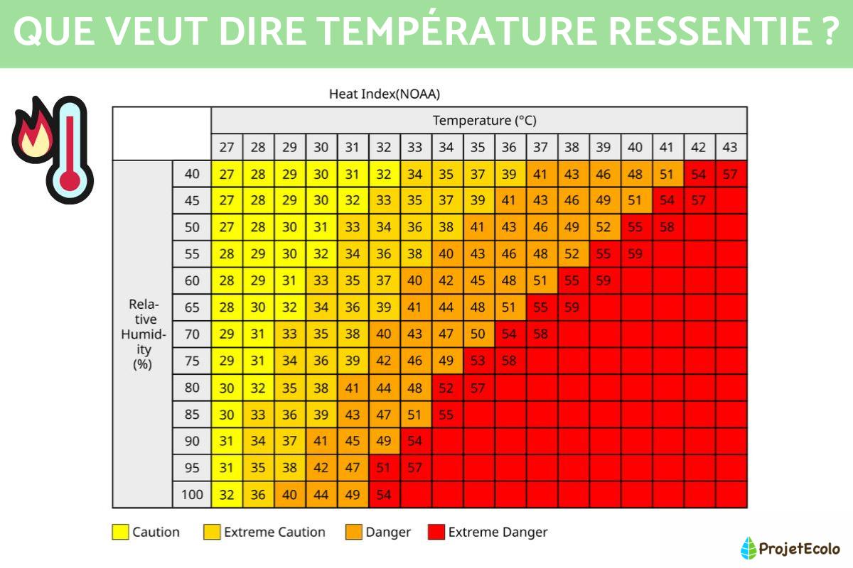 Que veut dire température ressentie ? Résumé COMPLET