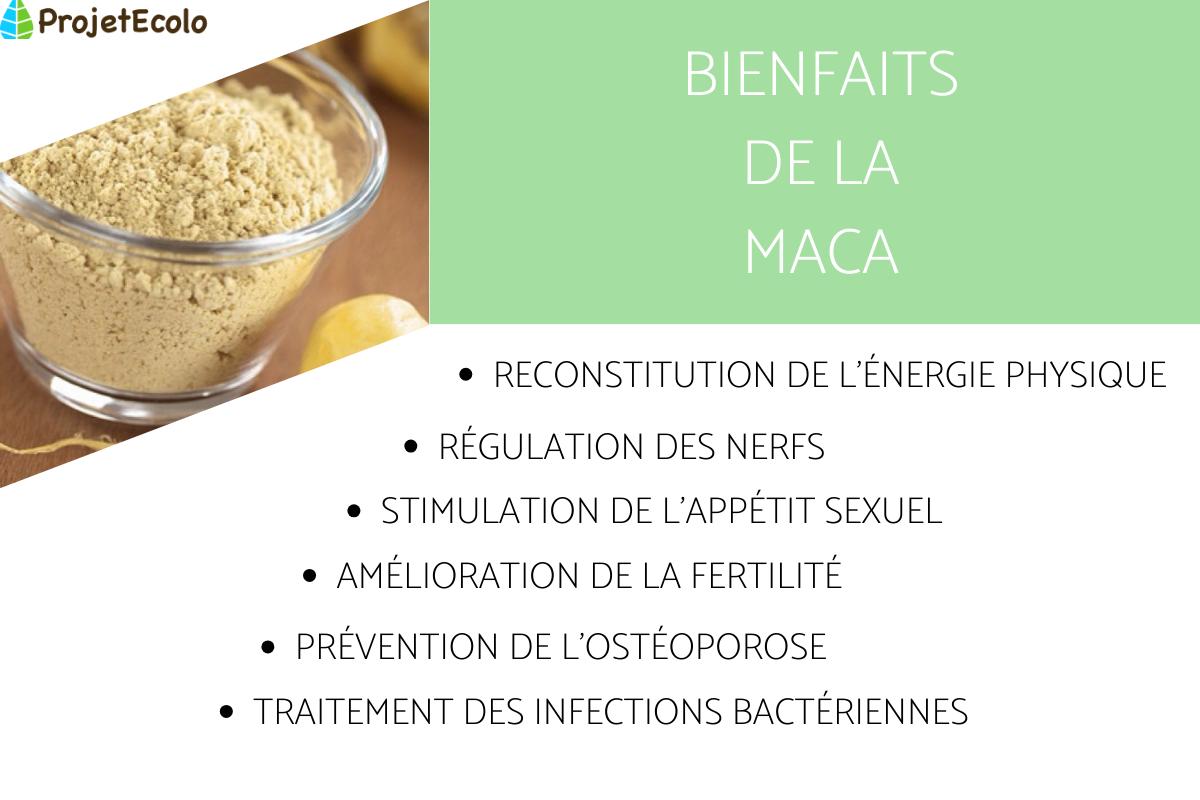 MACA : PROPRIÉTÉS, BIENFAITS et UTILISATION