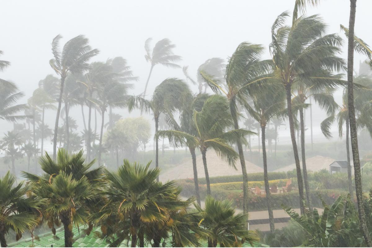 Climat de mousson : définition, pluie et saison - Résumé