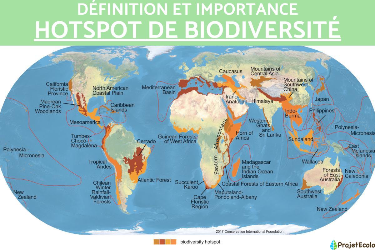 Hotspot de biodiversité : Définition, où ils se trouvent et importance