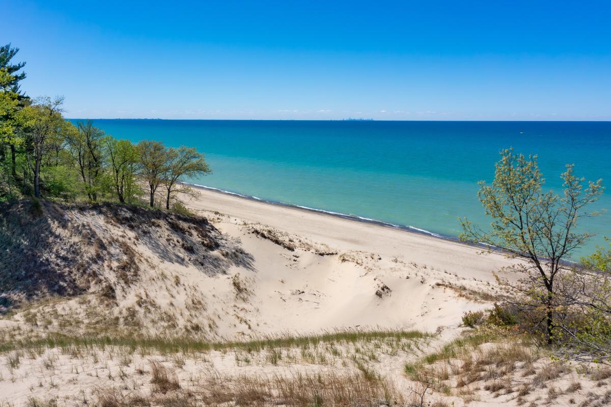 Dunes : Définition, formation, types et importance