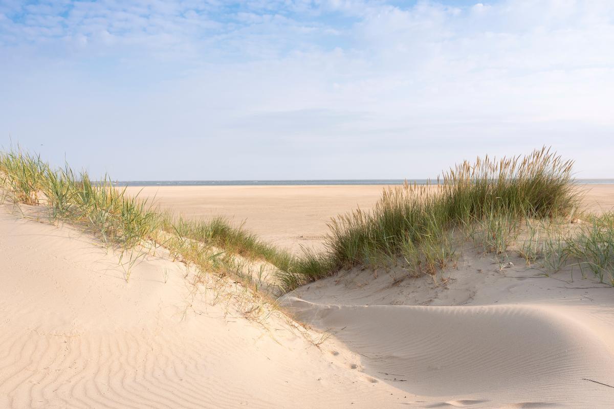 Dunes : Définition, formation, types et importance