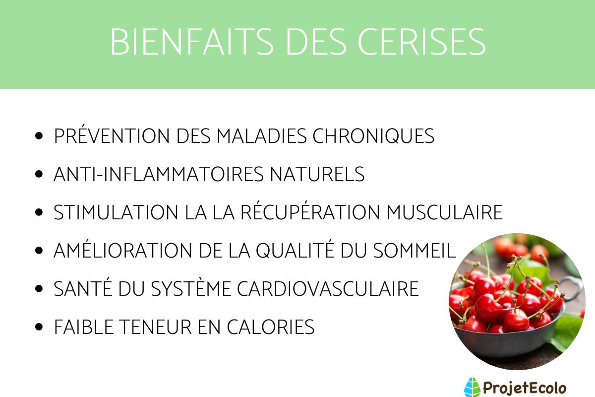 CERISES : PROPRIÉTÉS, BIENFAITS et CONTRE-INDICATIONS