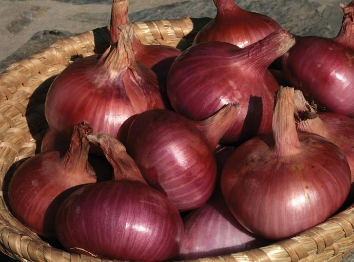 9 VARIÉTÉS D'OIGNONS - Noms, caractéristiques et images